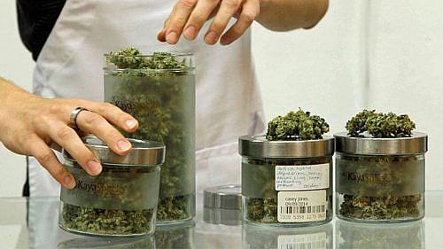 Cannabis Commission Gets More Than 200 Applications for Marijuana ...