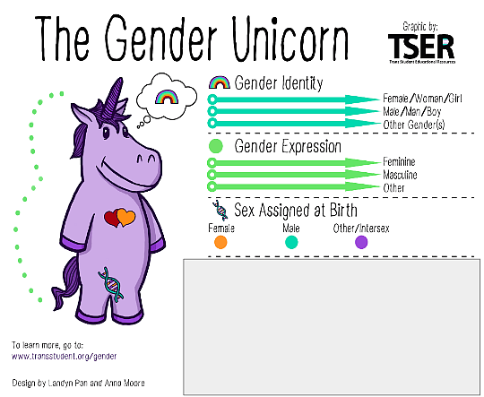 Arlington Public Schools Using ‘Gender Unicorn’ To Teach Fourth-Graders ...